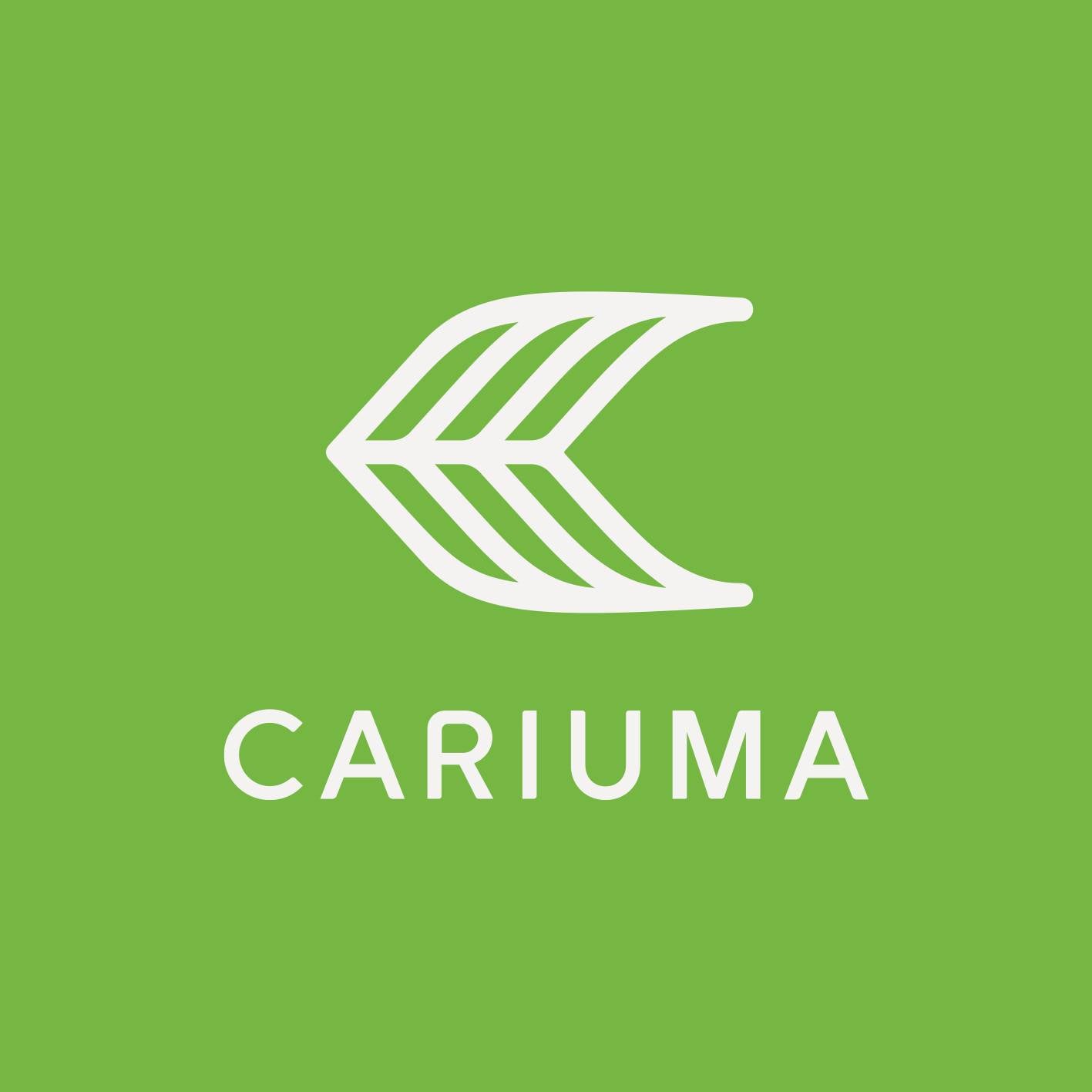 Cariuma – Food Court Skatepark